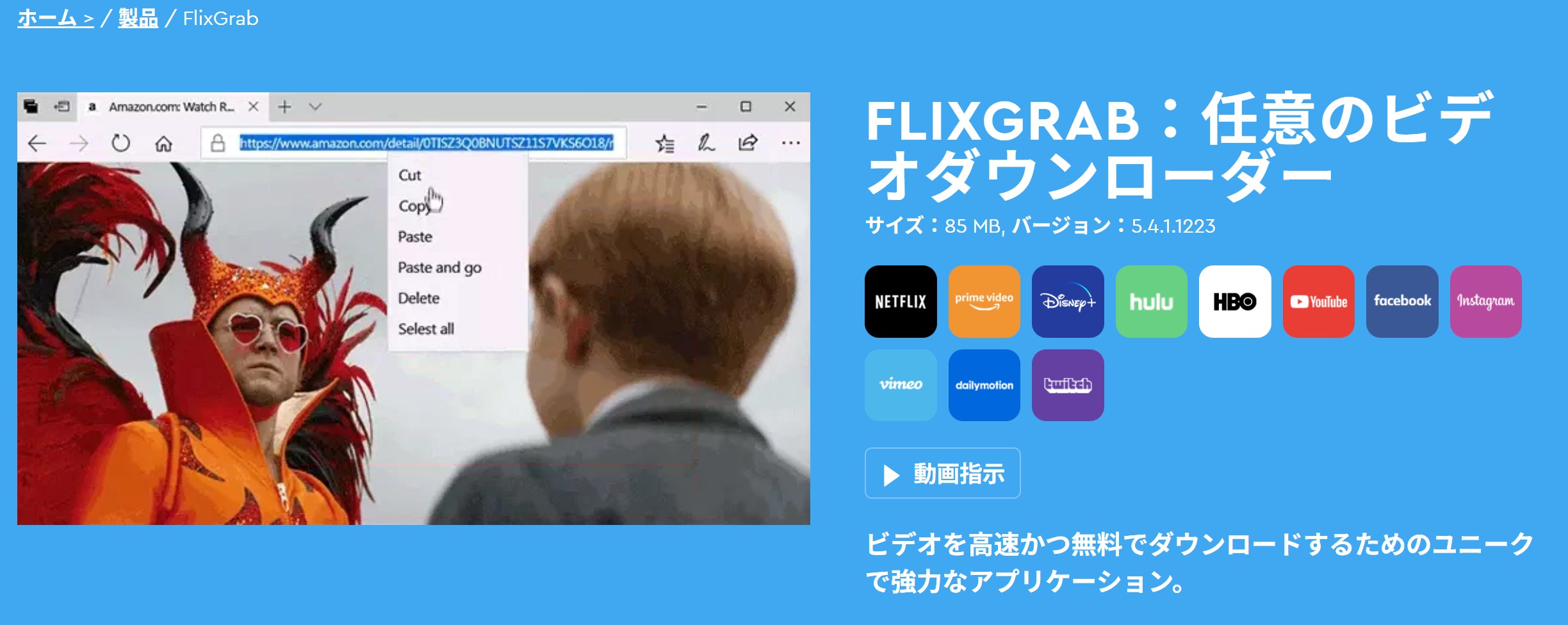 FlixGrabのダウンロード失敗を解決！エラー対処ガイドとおすすめの代替ソフトも紹介